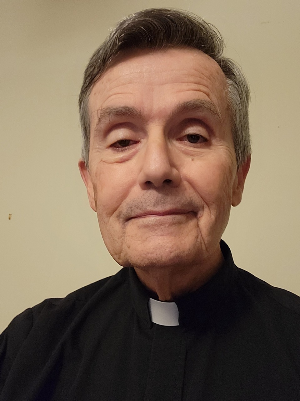 Rev. Mike Walsh, C.M. - North Perry County Catholic Parishes